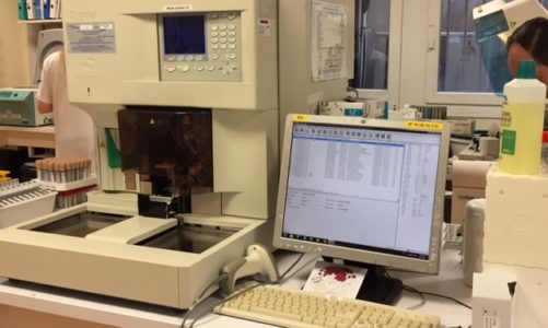 LC&S (LABORATORY CONSULTING & SERVICES)