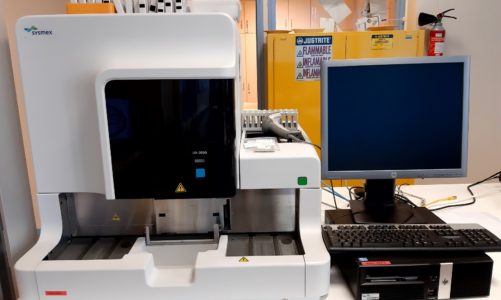 LC&S (LABORATORY CONSULTING & SERVICES)